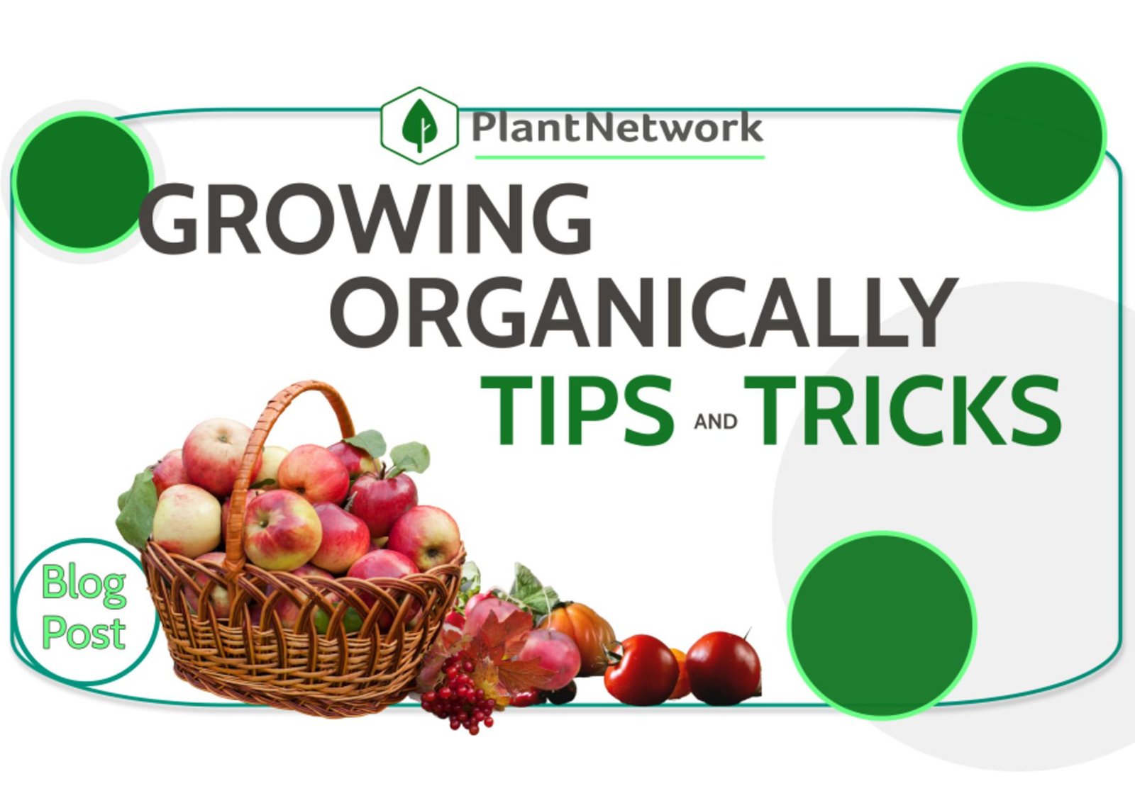 Growing Organically, Tips and Tricks - PlantNetwork